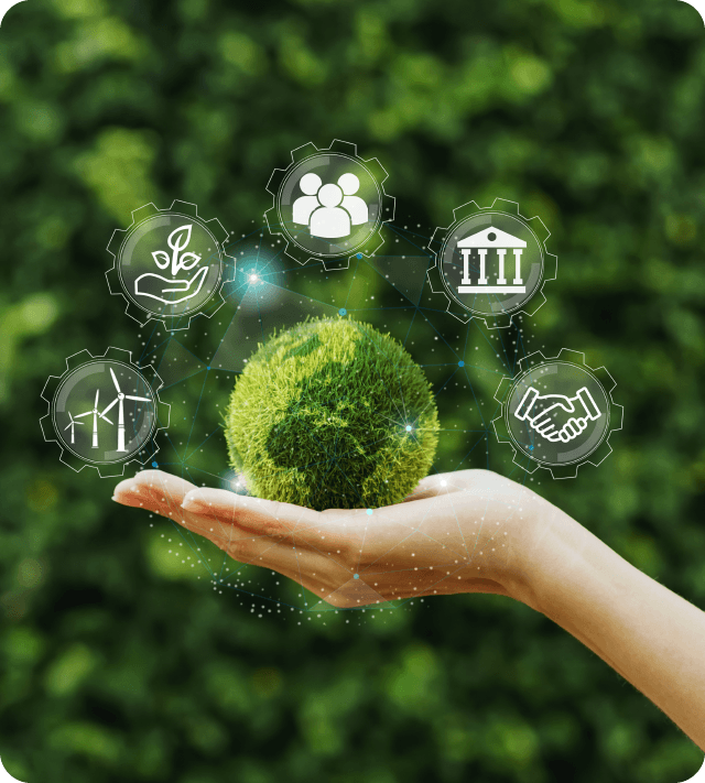 Committing to a circular economy with Ecovera yarn